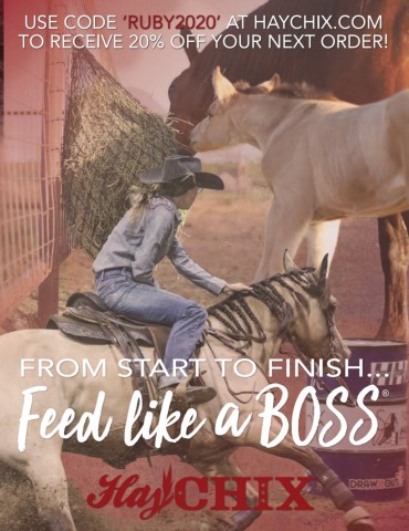 2020 Ruby Buckle Stallion Guide - trishaj1 - Page 155 | Flip PDF Online ...