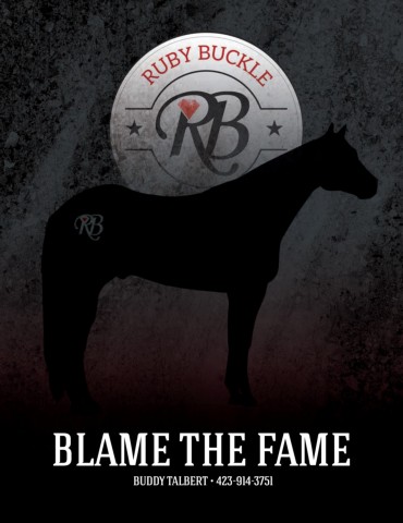 2020 Ruby Buckle Stallion Guide - trishaj1 - Page 19 | Flip PDF Online ...