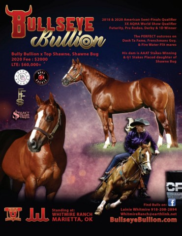 2020 Ruby Buckle Stallion Guide - trishaj1 - Page 28 | Flip PDF Online ...