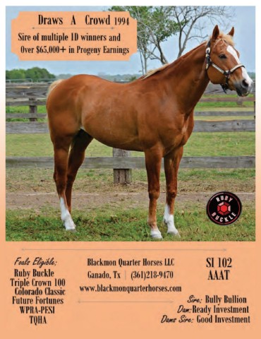 2020 Ruby Buckle Stallion Guide - trishaj1 - Page 40 | Flip PDF Online ...