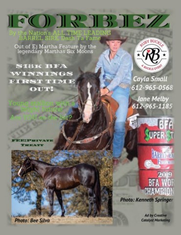 2020 Ruby Buckle Stallion Guide - trishaj1 - Page 54 | Flip PDF Online ...