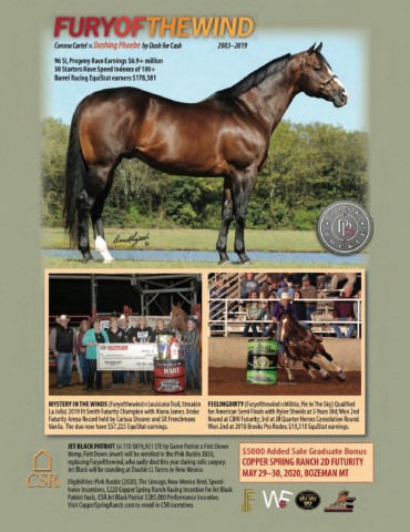 2020 Ruby Buckle Stallion Guide - trishaj1 - Page 61 | Flip PDF Online ...