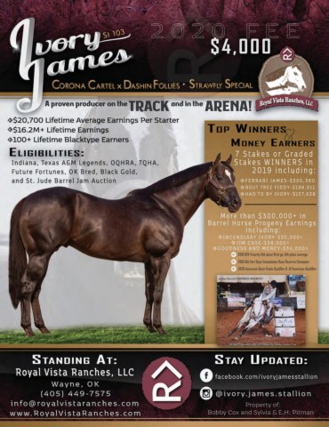 2020 Ruby Buckle Stallion Guide - trishaj1 - Page 76 | Flip PDF Online ...