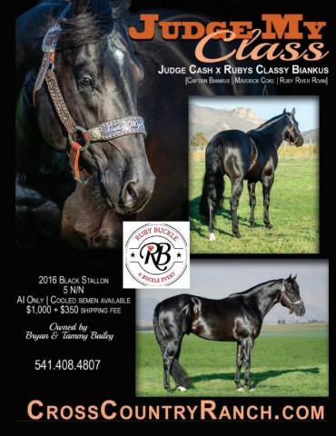 2020 Ruby Buckle Stallion Guide - trishaj1 - Page 87 | Flip PDF Online ...