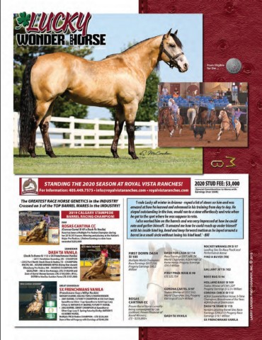 2020 Ruby Buckle Stallion Guide - trishaj1 - Page 93 | Flip PDF Online ...