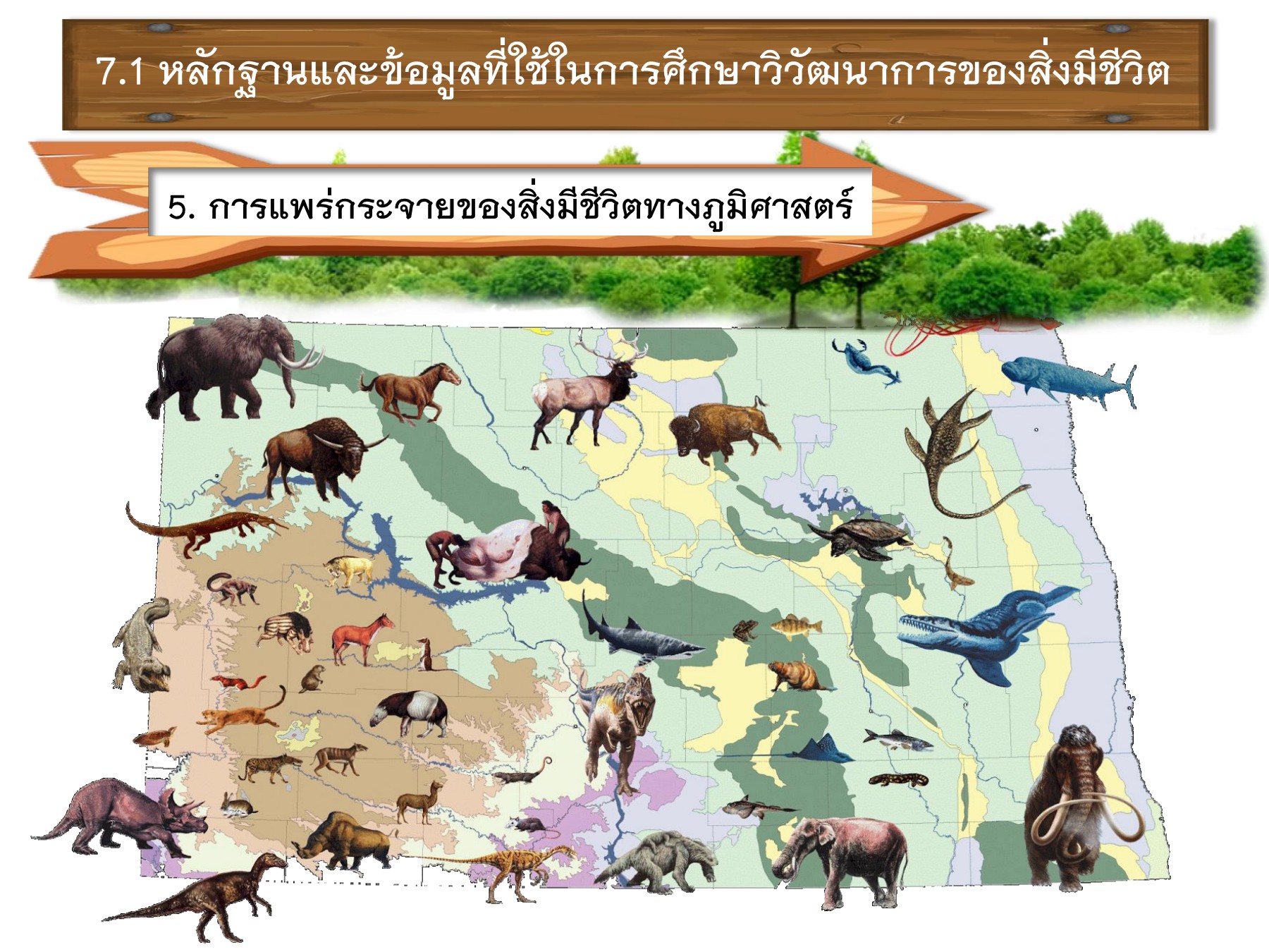 หลักฐานและข้อมููลที่ใช้ในการศึกษาวิวัฒนาการของสิ่งมีชีวิต - patcharee.in - หน้าหนังสือ 21 | พลิก ...