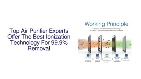 Top Air Purifier Experts Offer The Best Ionization Technology For 99.9% ...