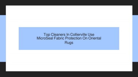 Top Cleaners In Collierville Use MicroSeal Fabric Protection On ...