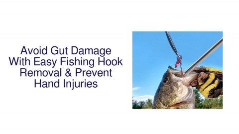 Avoid Gut Damage With Easy Fishing Hook Removal & Prevent Hand Injuries ...