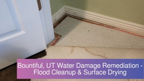 Bountiful, UT Water Damage Remediation - Flood Cleanup & Surface Drying