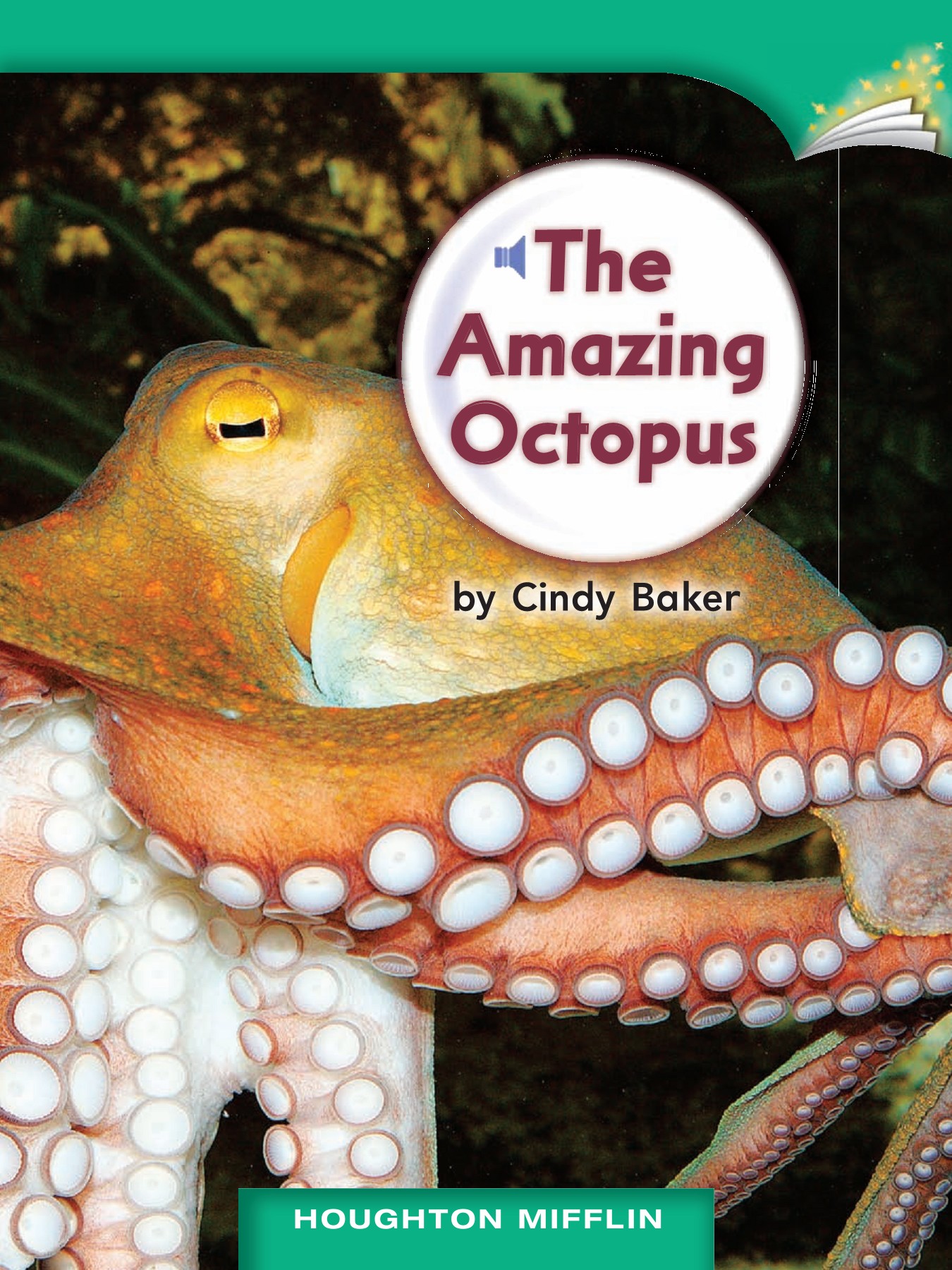 The Amazing Octopus - ห้องสมุดประชาชน - Page 1 - 14 | Flip PDF Online ...