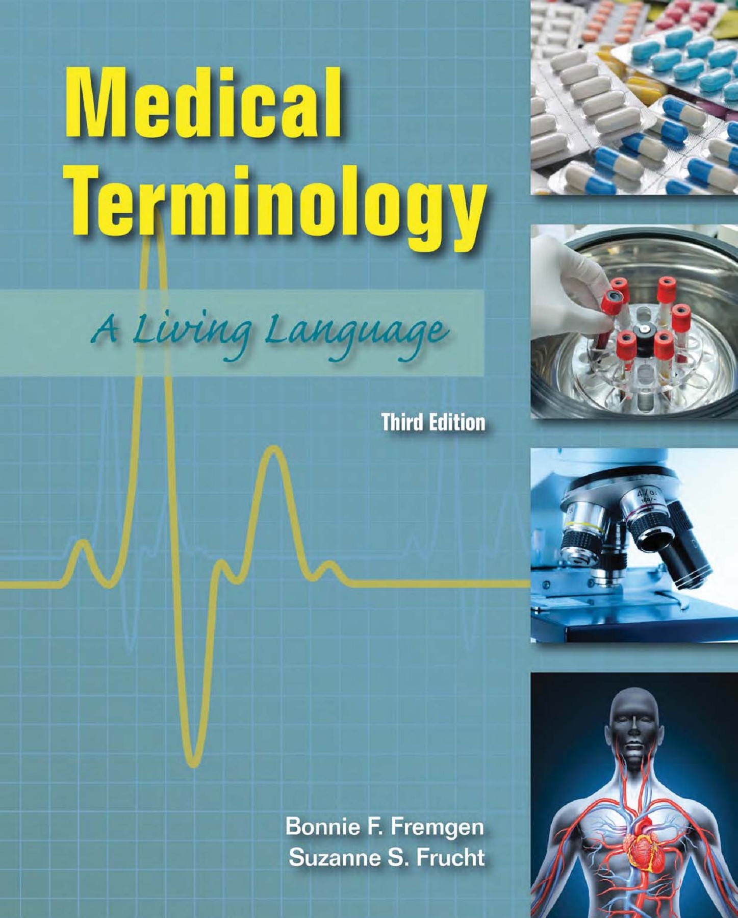 Medical Terminology - WBN Marketing LLC - Page 1 - 5 | Flip PDF Online ...