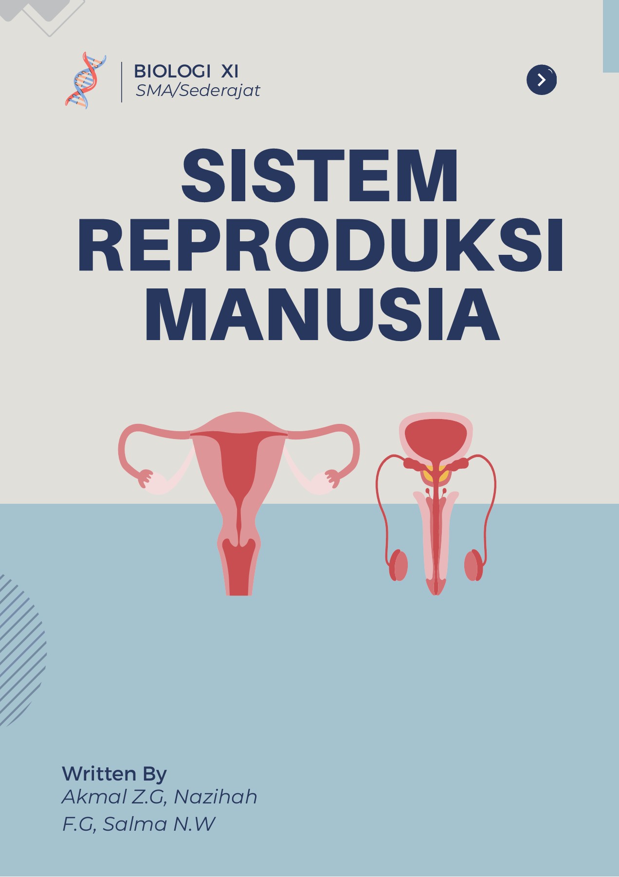 MODUL BIOLOGI SISTEM REPRODUKSI - salma - Page 1 - 26 | Flip PDF Online | PubHTML5