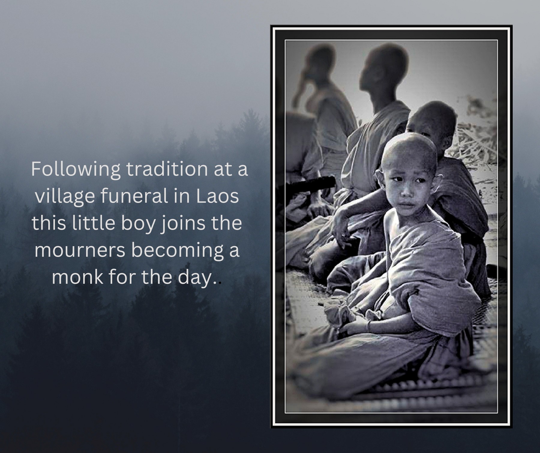 Light and Shade - tony.laycock - Page 6 | Flip PDF Online | PubHTML5