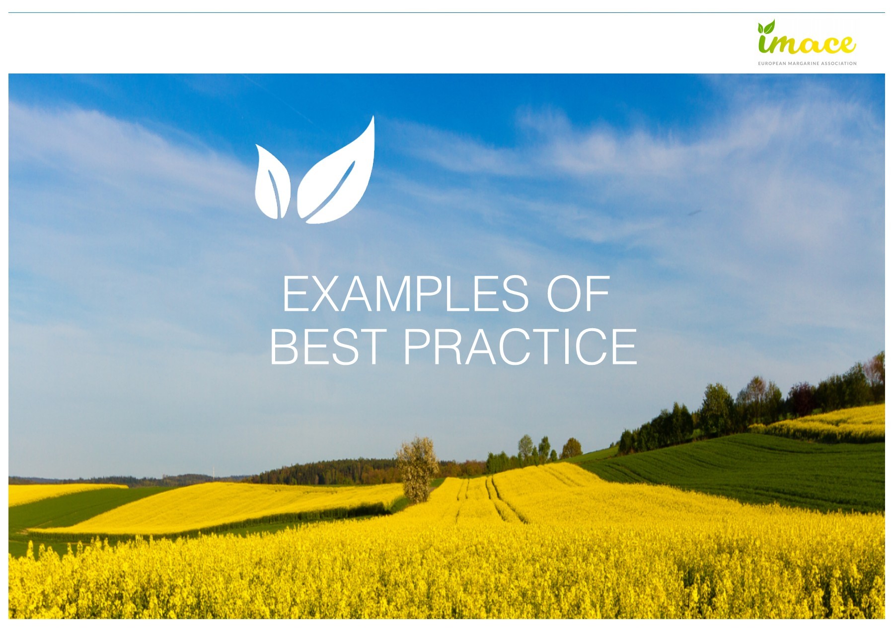 IMACE Best Practice Examples 7 June 2016 - jelmen.haaze - Page 1 - 16 ...