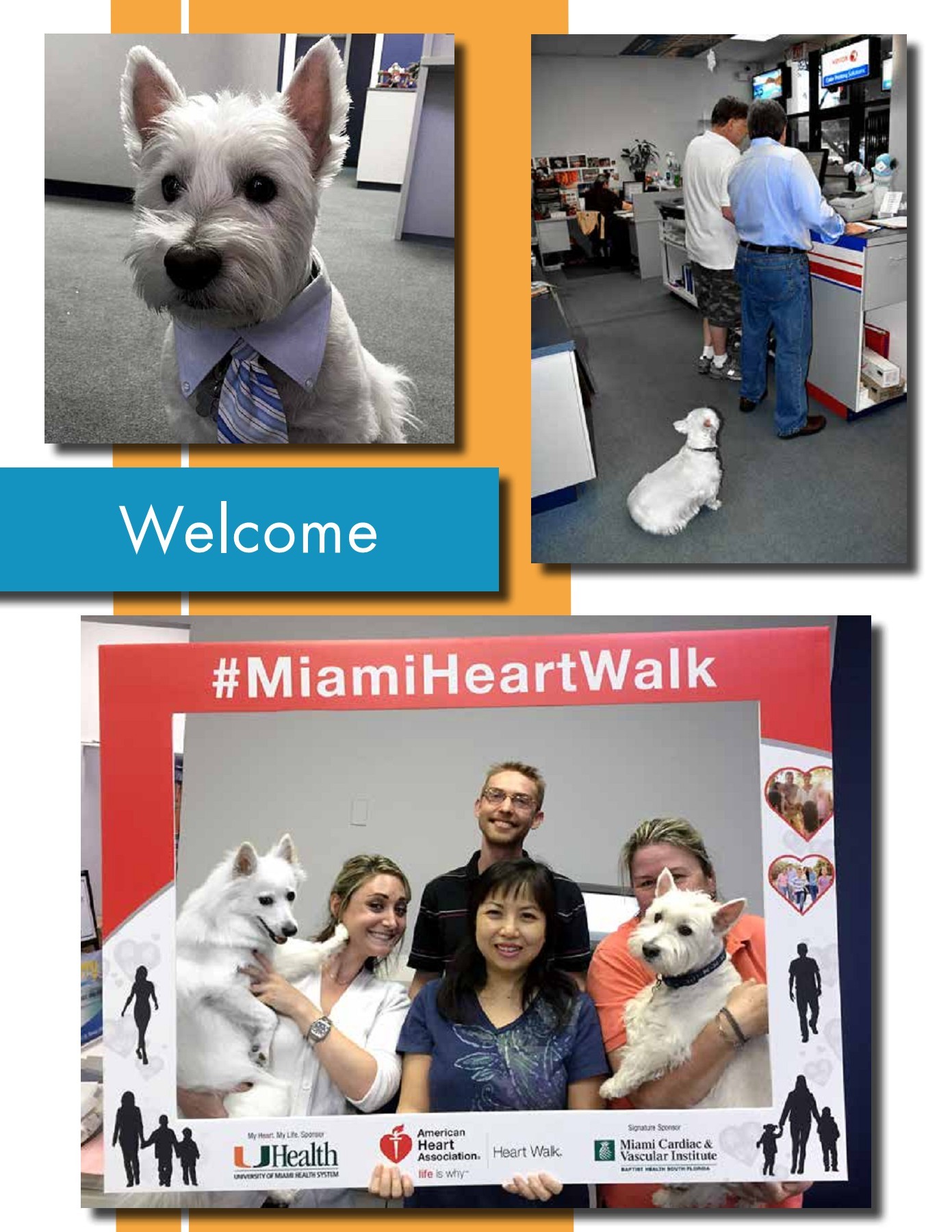 PIP Brochure - me - Page 2 | Flip PDF Online | PubHTML5