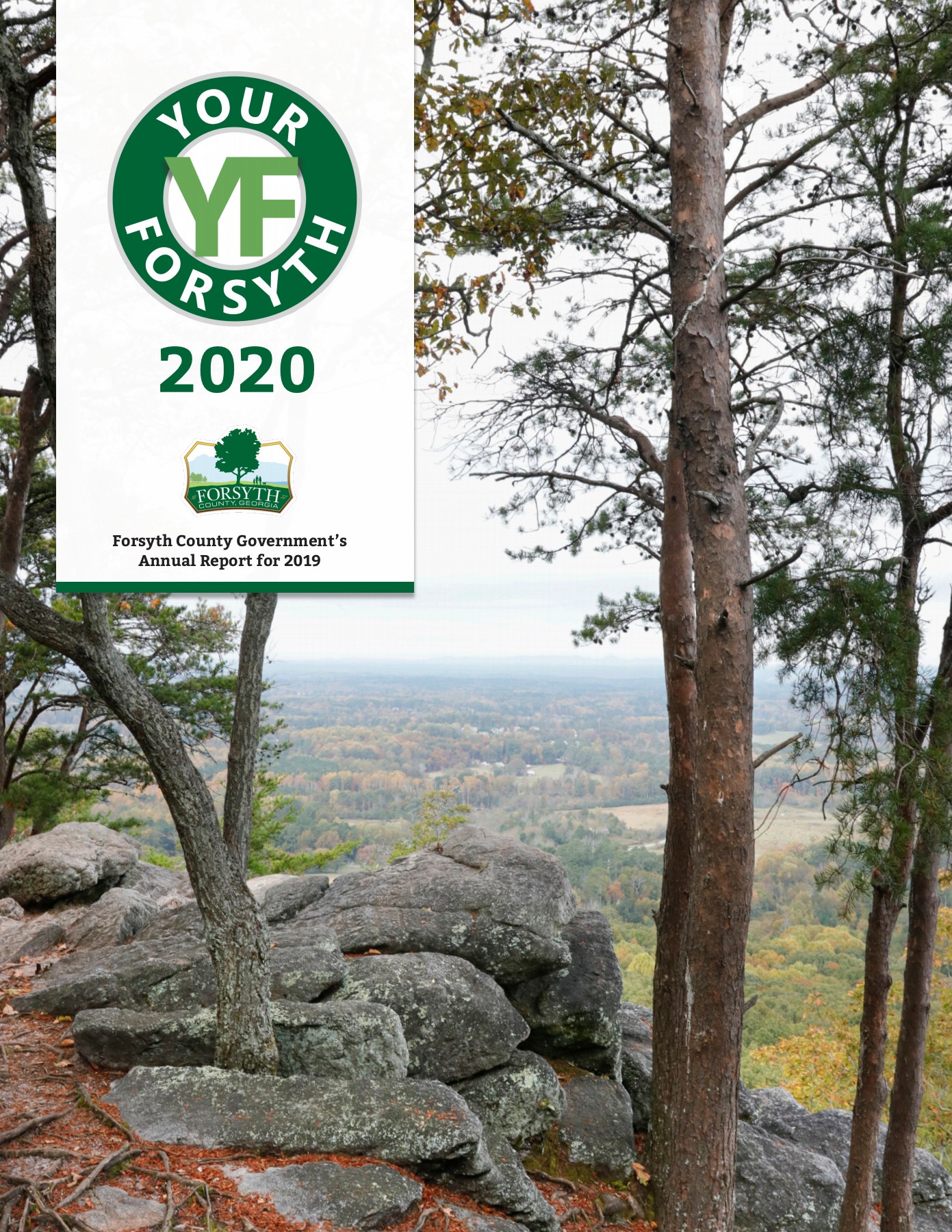 2020 Your Forsyth - Forsyth County's Annual Report for 2019 - Forsyth ...