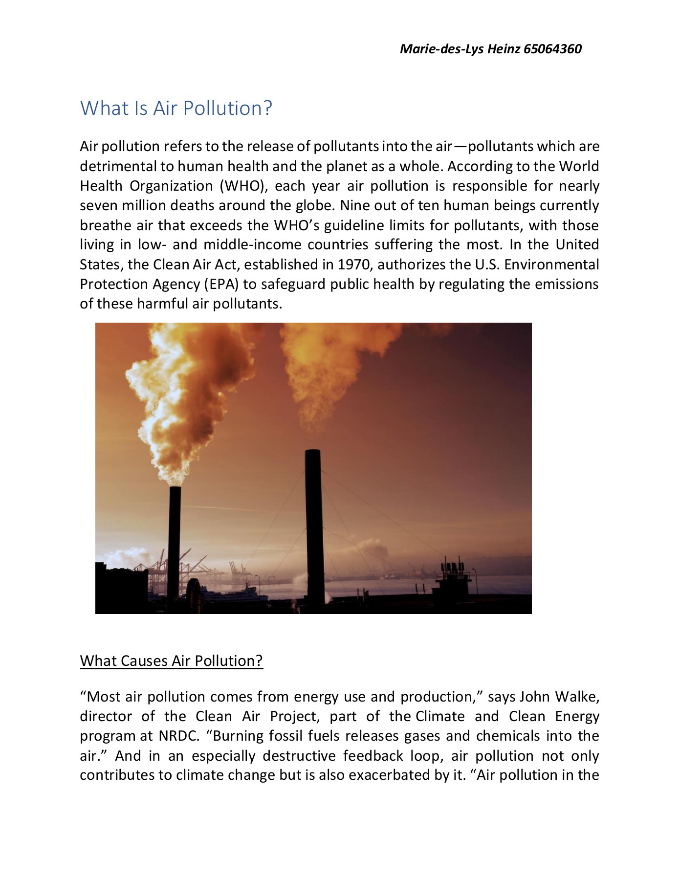 Air Pollution - h.mariedeslys - Page 1 - 8 | Flip PDF Online | PubHTML5