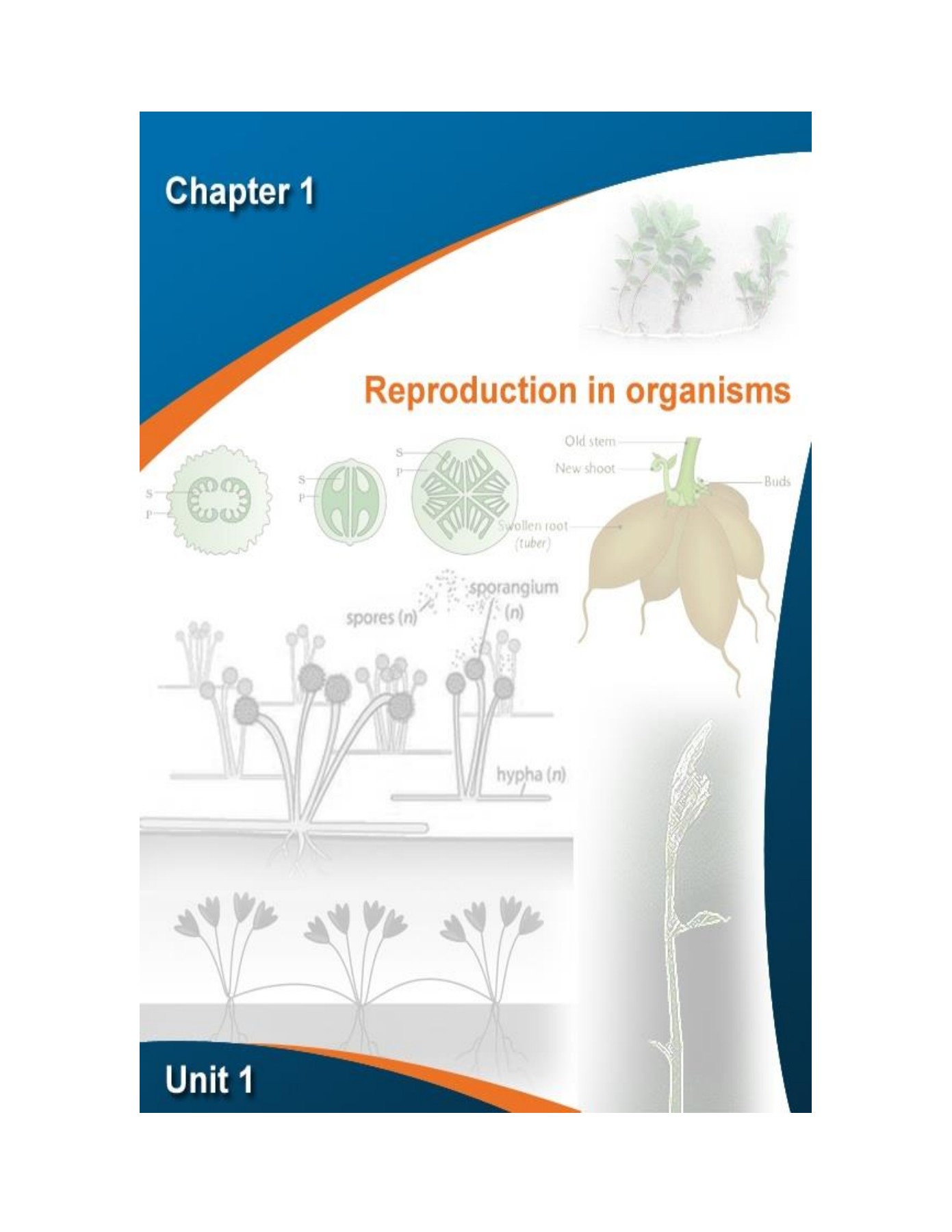 U1_Chapter1_OrganismReproduction_Section A - Anol Bhattacharjee - Page ...