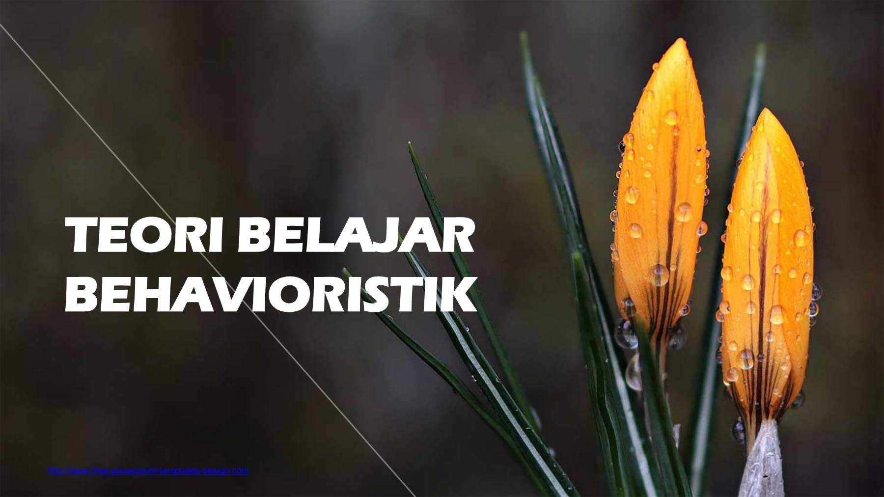TEORI BELAJAR BEHAVIORISTIK - fanyh955 - Halaman 1 - 16 | PDF Online ...