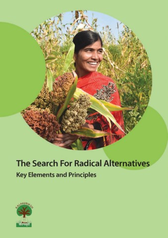 The Search for Radical Alternatives: Key Elements and Principles