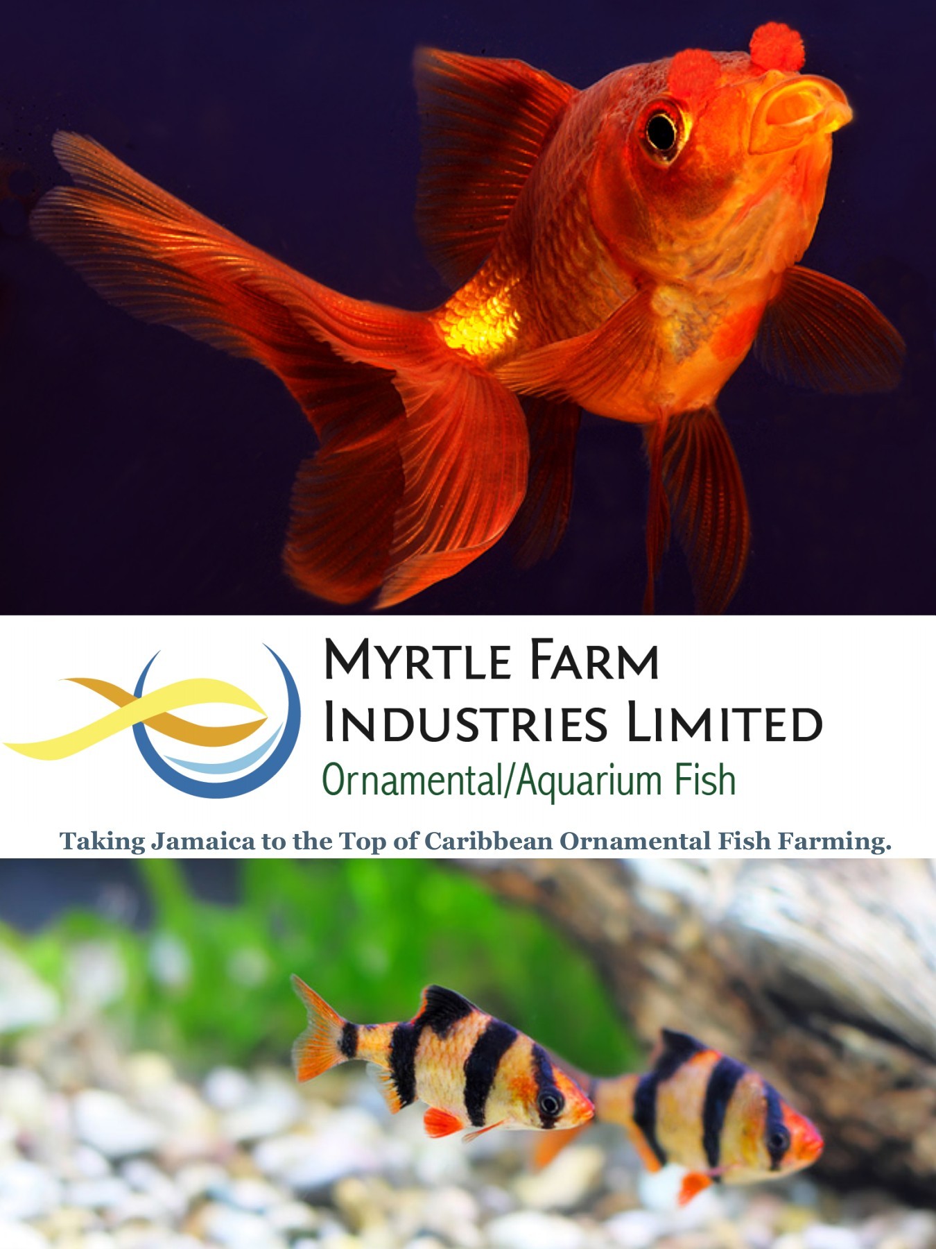 MYRTLE FARM INDUSTRIES LTD - Myrtle Farm Industries - Page 1 - 4 | Flip ...