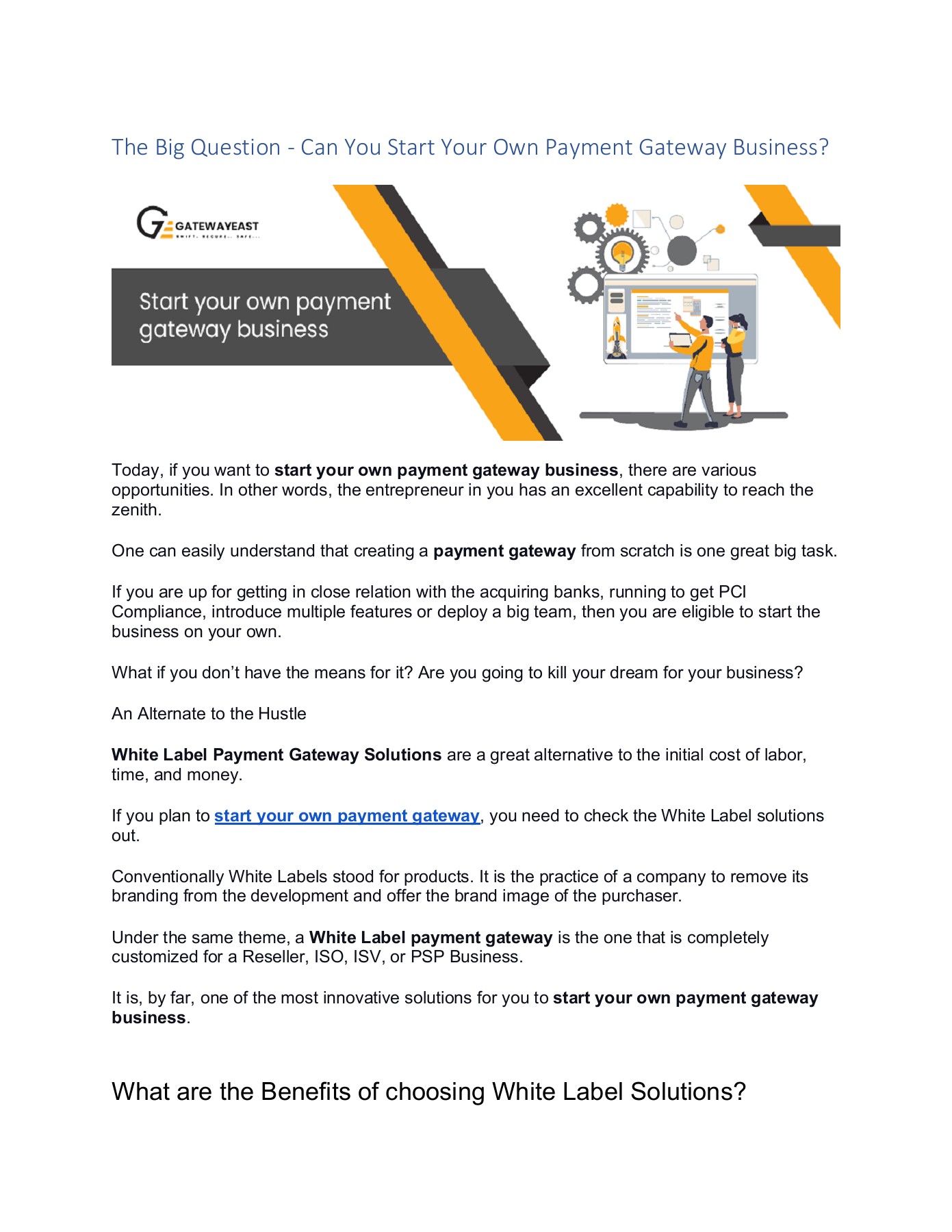 The Big Question - Can You Start Your Own Payment Gateway Business ...