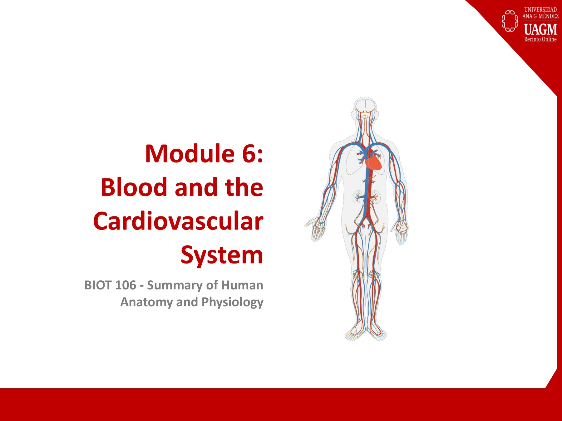 Presentation Blood and Cardiovascular System - Recinto Online - Page 1 ...