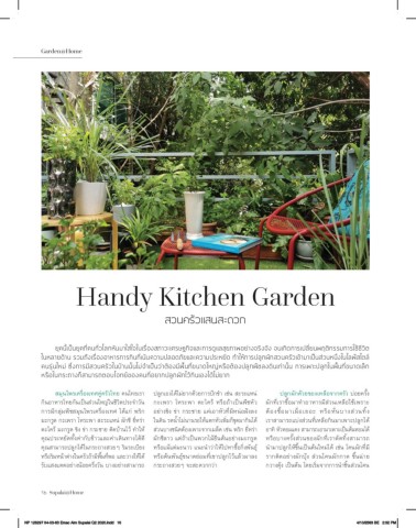 Handy Kitchen Garden