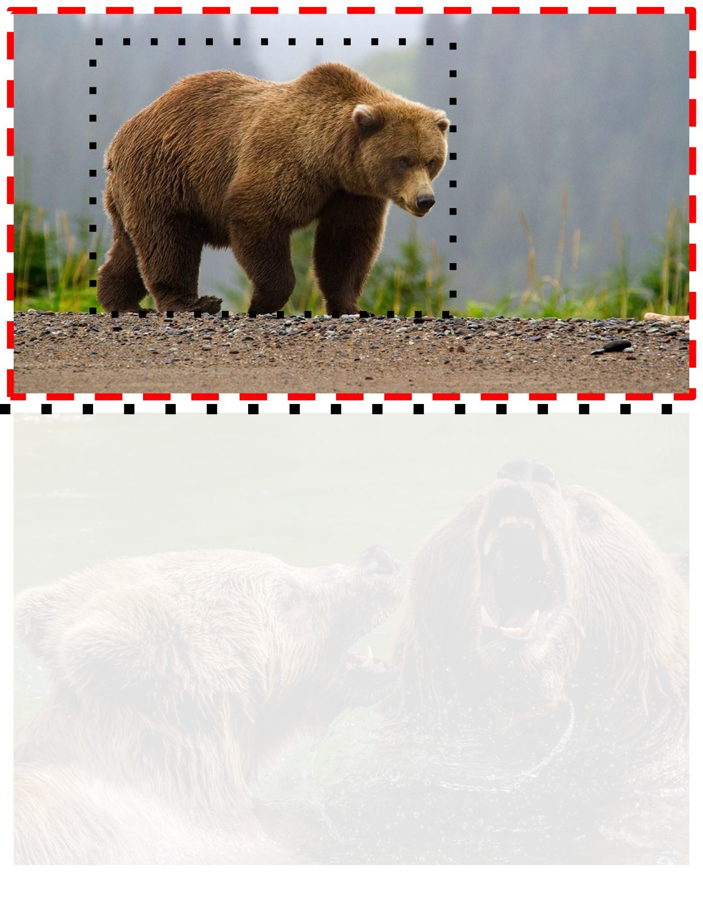 Training TAP - JEANNINE FREEMAN - Page 1 - 2 | Flip PDF Online | PubHTML5