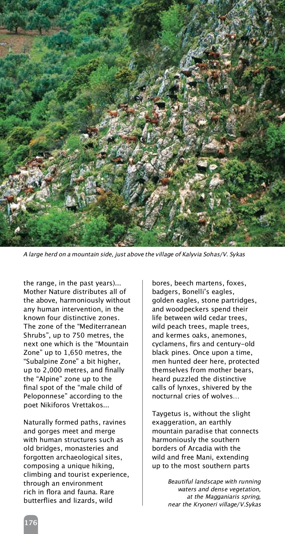 Spartan Guide - dimitri.s - Page 176 | Flip PDF Online | PubHTML5