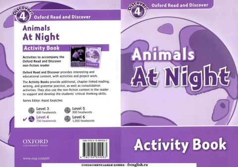 Animals at Night - Activity Book