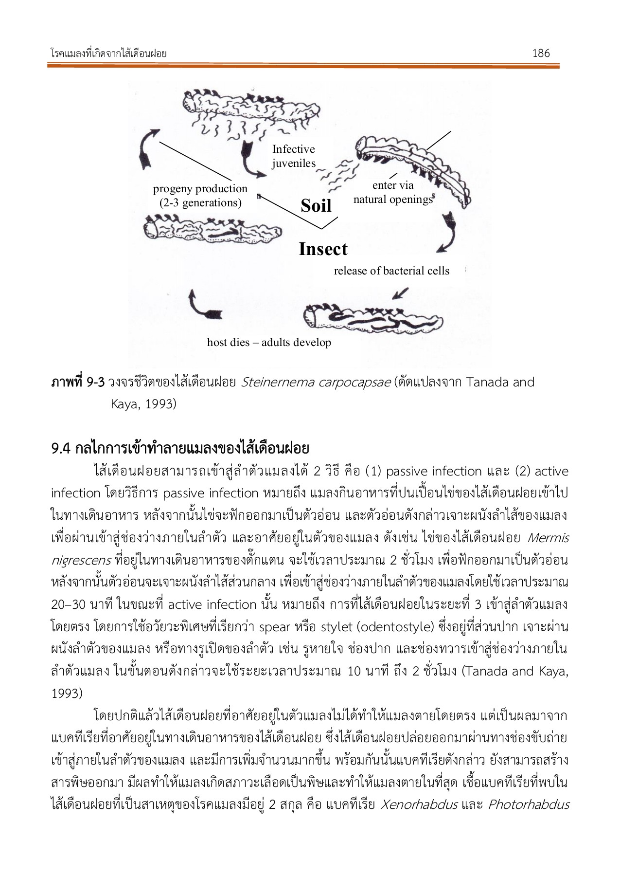 Insect Pathology - Sineenuch K. Sanserm - หน้าหนังสือ 201 | พลิก PDF ...