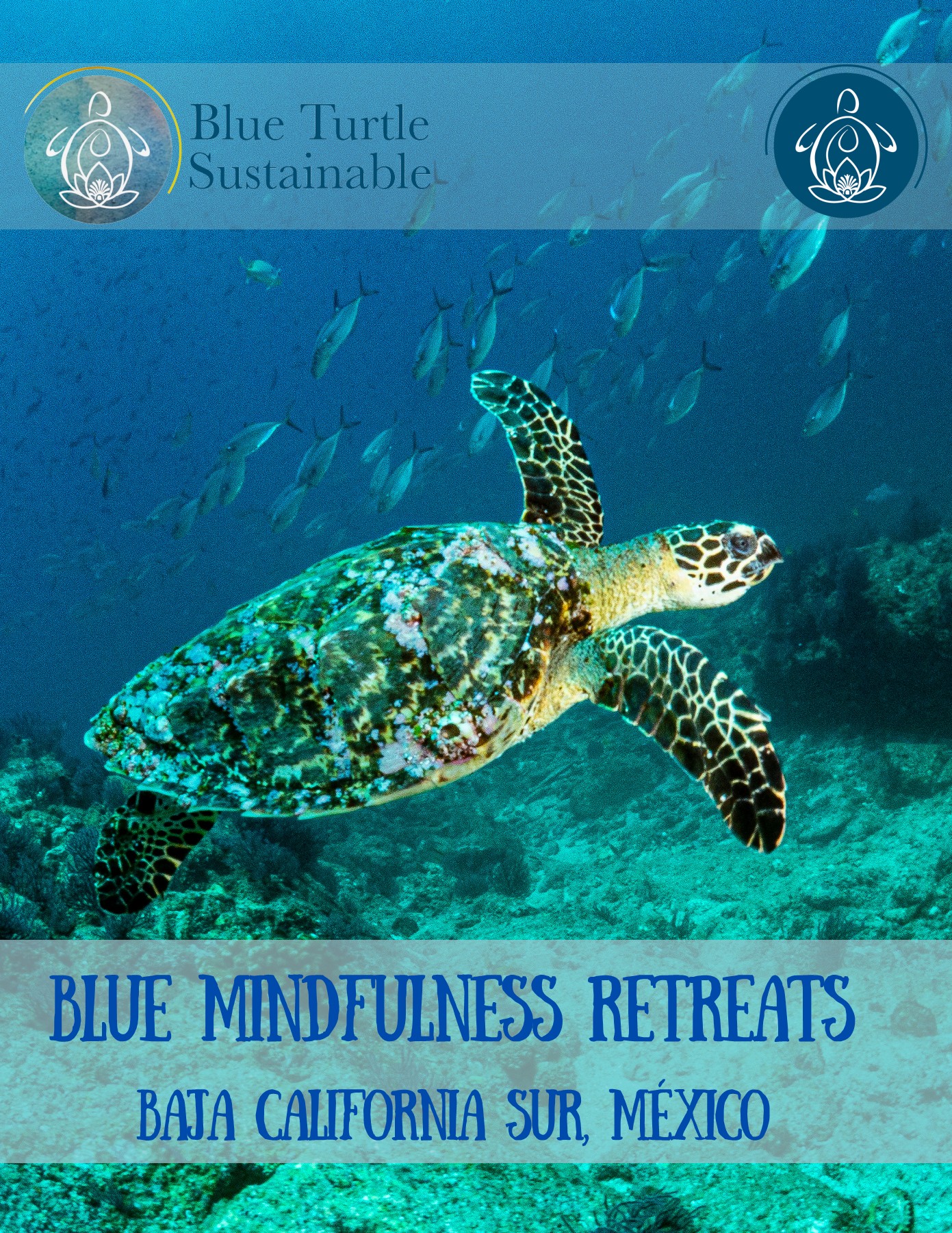 Blue Turtle Mindfulness Proposal 4 day camping (1) - stephanie - Page 1 ...