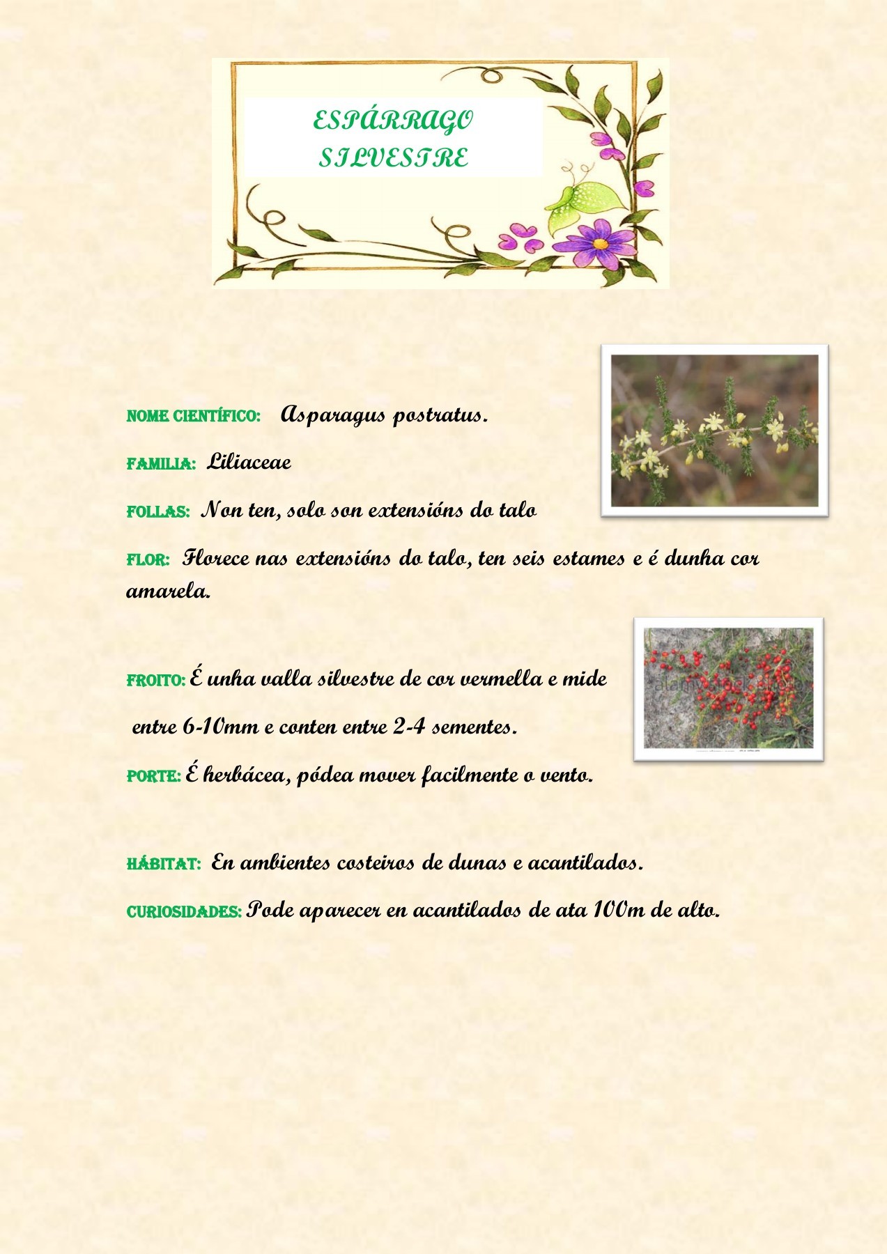 LIBRO COMPLETO IMPRIMIR - anaherva - Páxina 90 | PDF en liña | PubHTML5