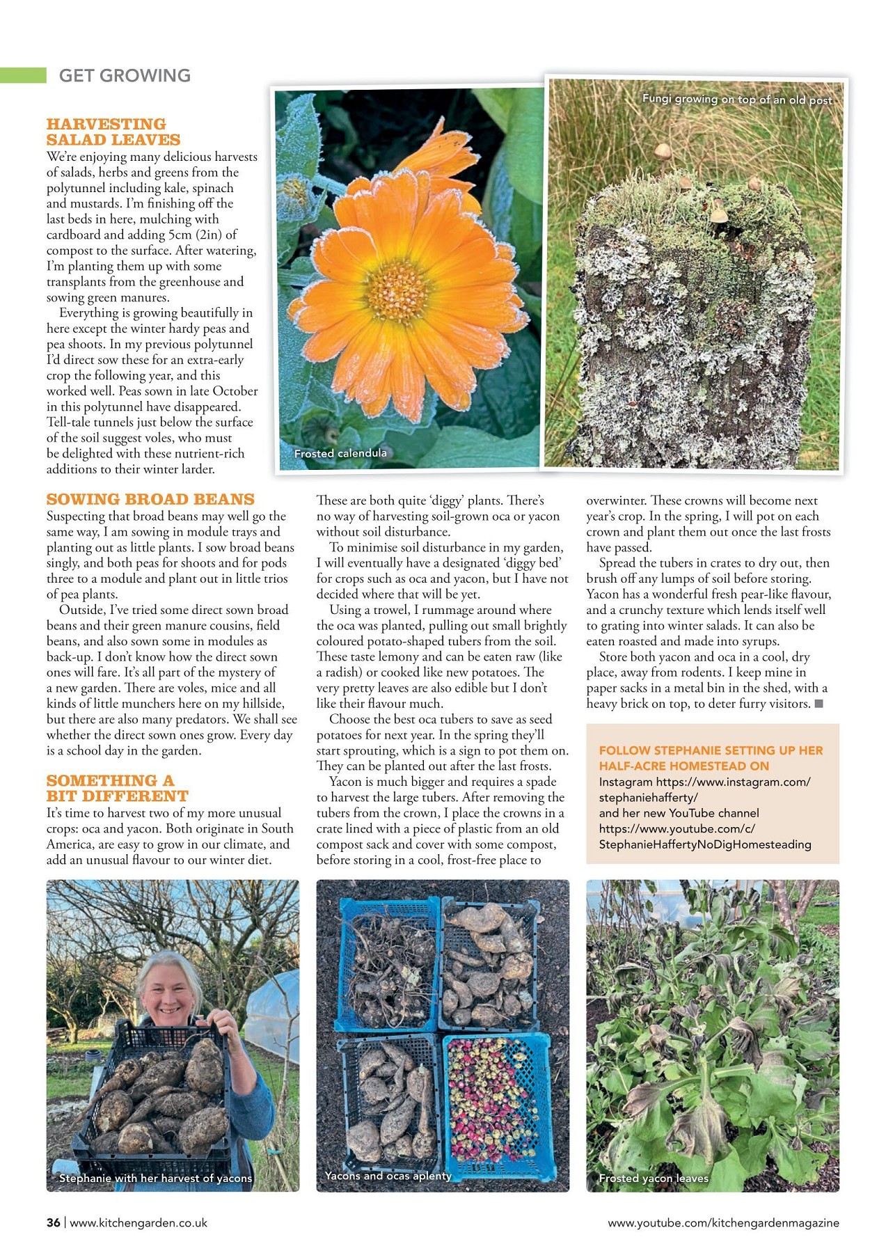 Kitchen Garden - Ihida - Page 36 | Flip PDF Online | PubHTML5