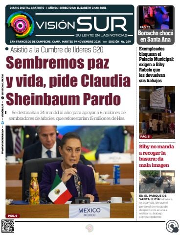 VISIÓN SUR EDICIÓN 249