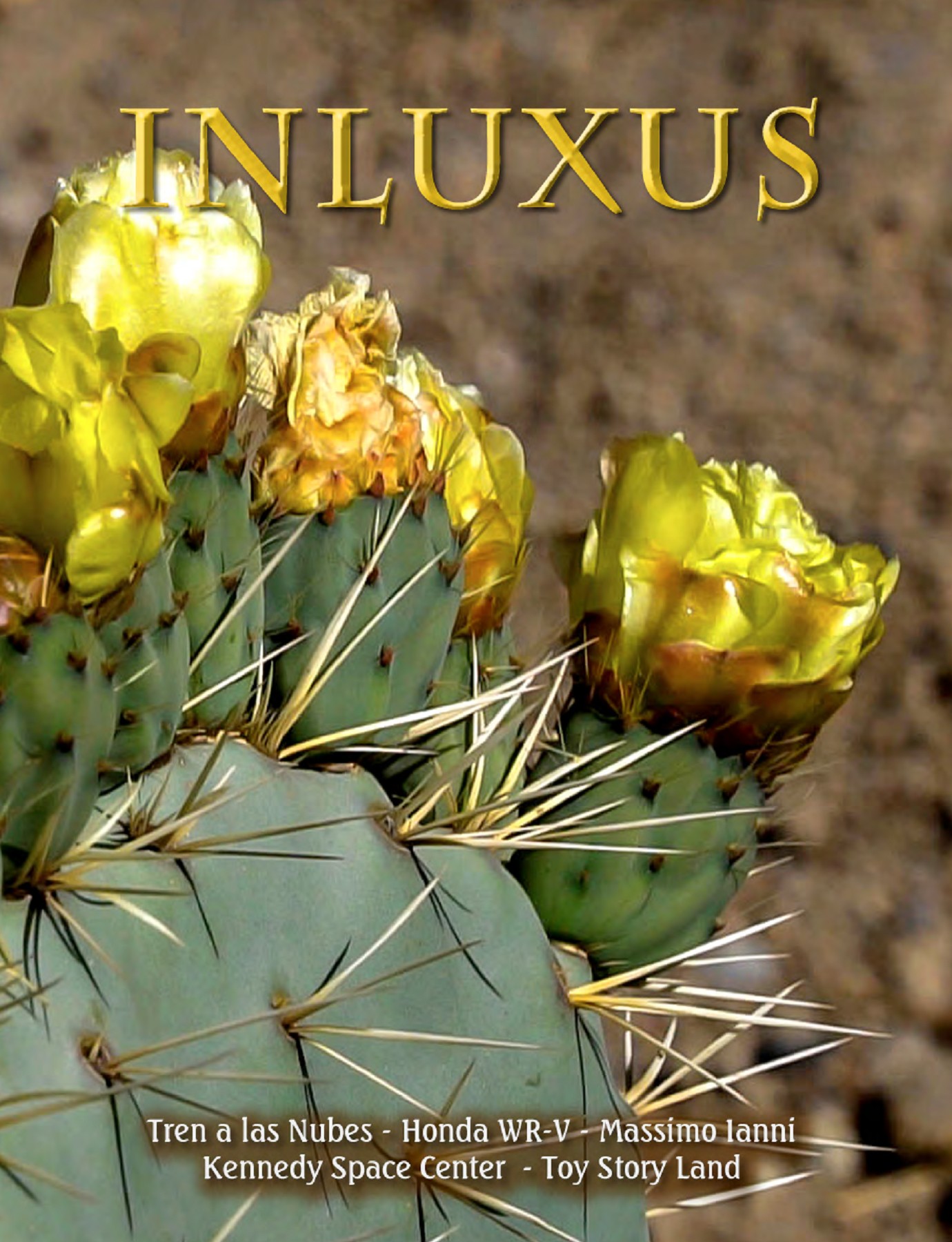 INLUXUS 25 - INLUXUS - Page 1 - 112 | Flip PDF Online | PubHTML5