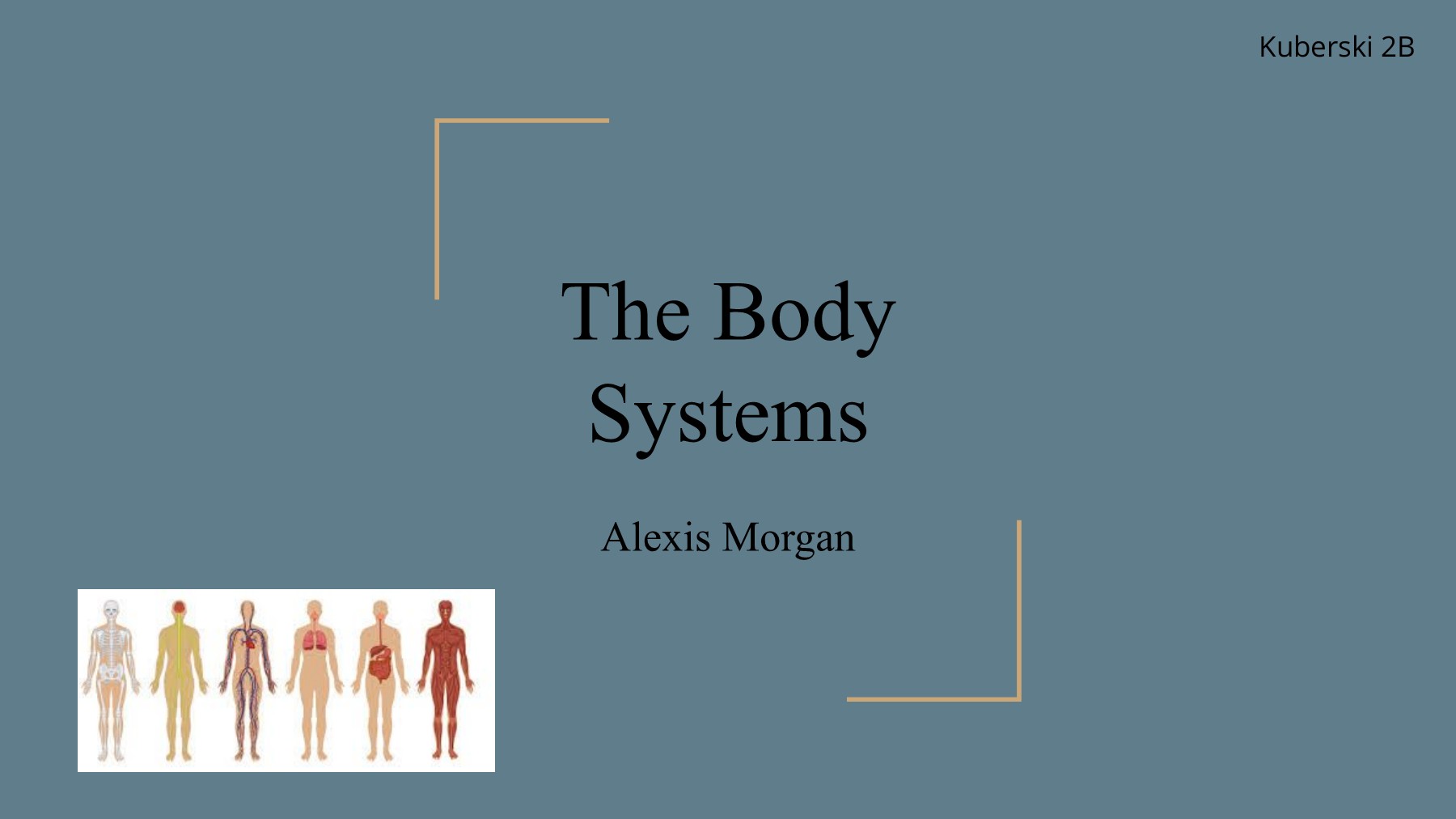 The Body Systems - alexis.morgan.170 - Page 1 - 21 | Flip PDF Online ...