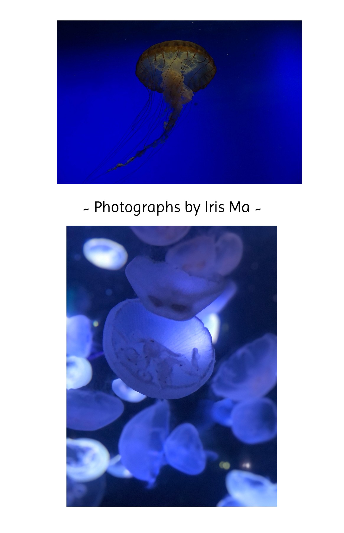 2022 Lit Mag Final PDF - karen.acrish - Page 9 | Flip PDF Online | PubHTML5