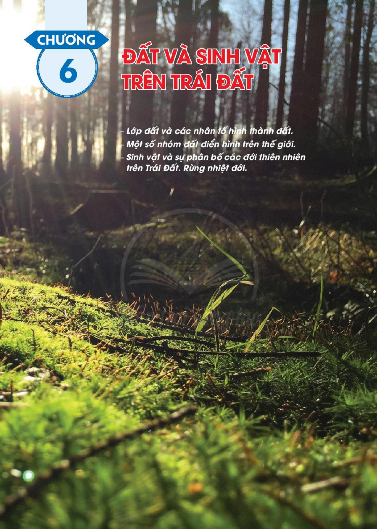 shs-lich-su-va-dia-li-6 - LAI NT - الصفحة 178 - PDF على الإنترنت