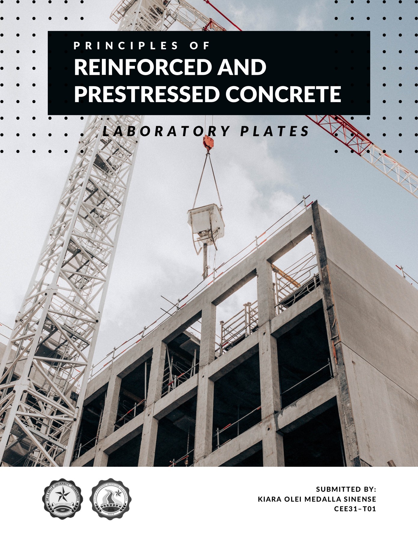 Principles of Reinforced and Prestressed Concrete: Laboratory Plates by ...