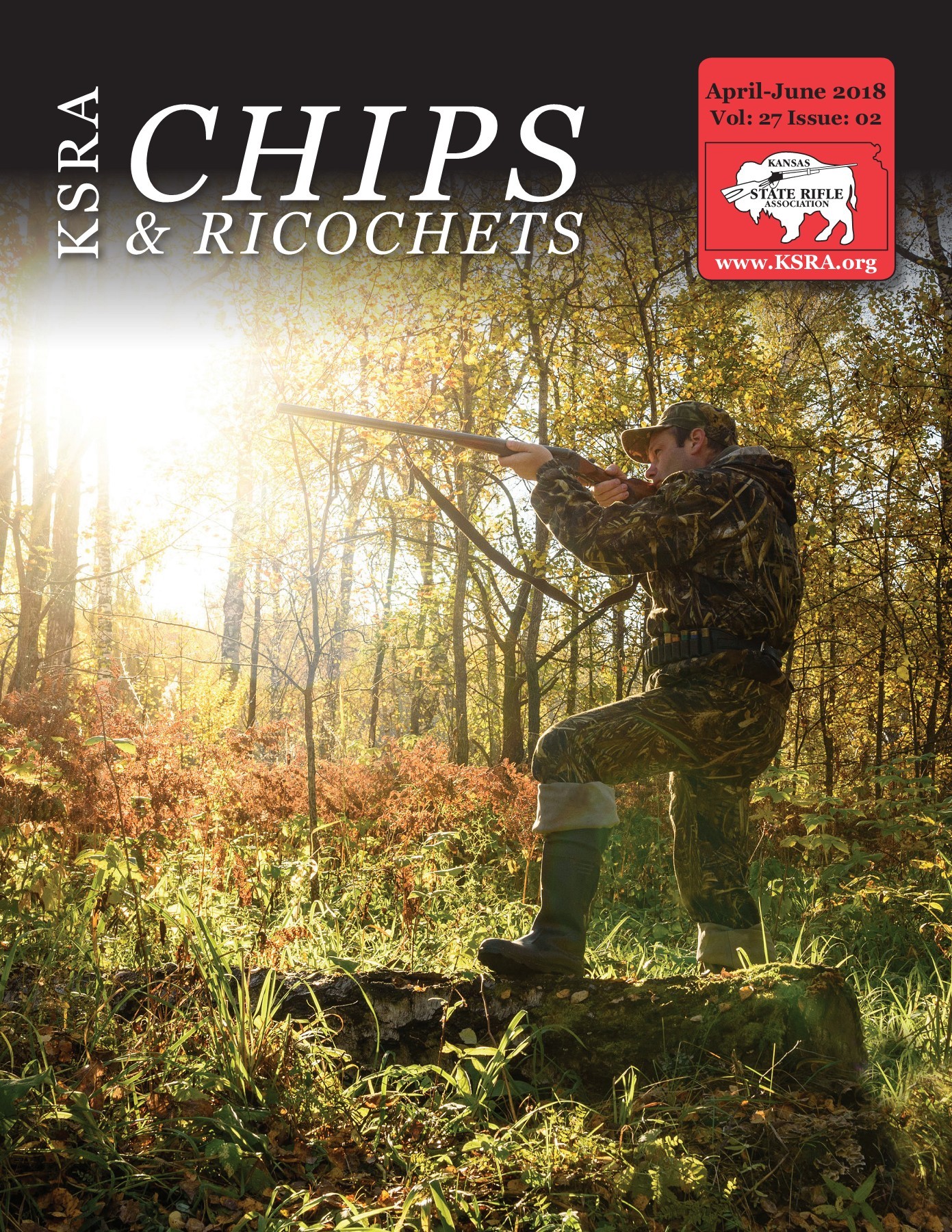 KSRA Chips & Ricochets - April 2018 - erin - Page 1 - 24 | Flip PDF ...