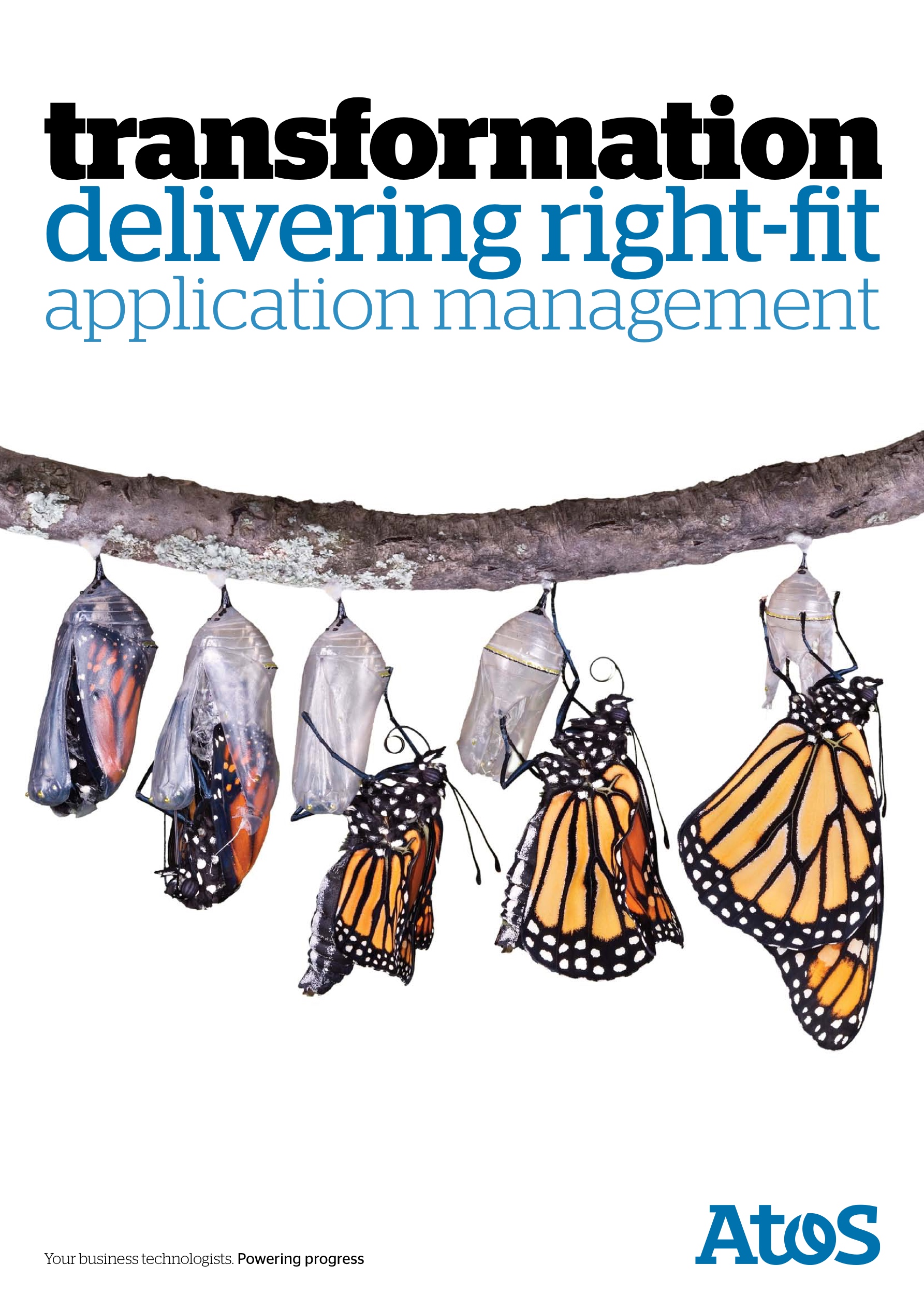 Transformation Delivering Right-Fit Application Management - lleyam ...