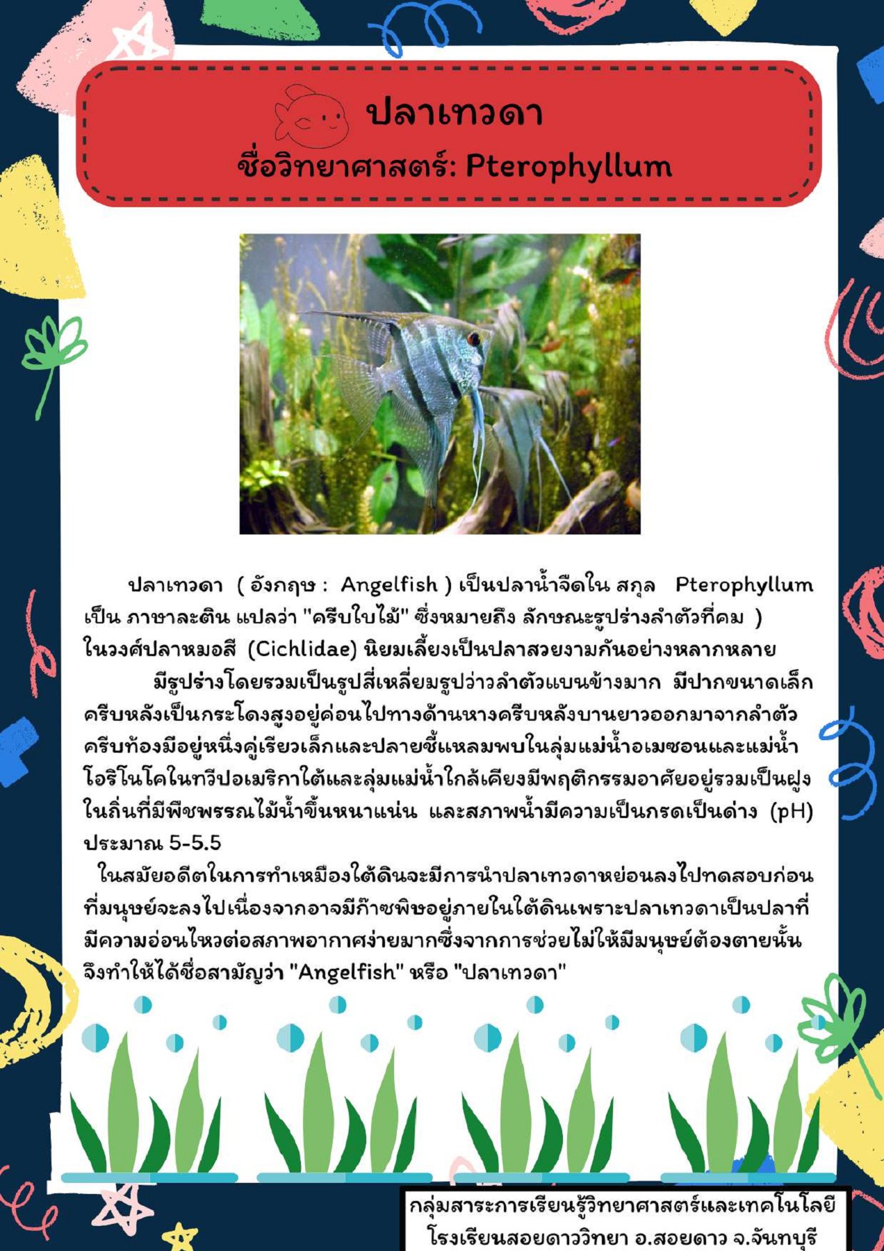 ปลาสวยงาม - Parichat Pranomyong - Page 1 | Flip PDF Online | PubHTML5