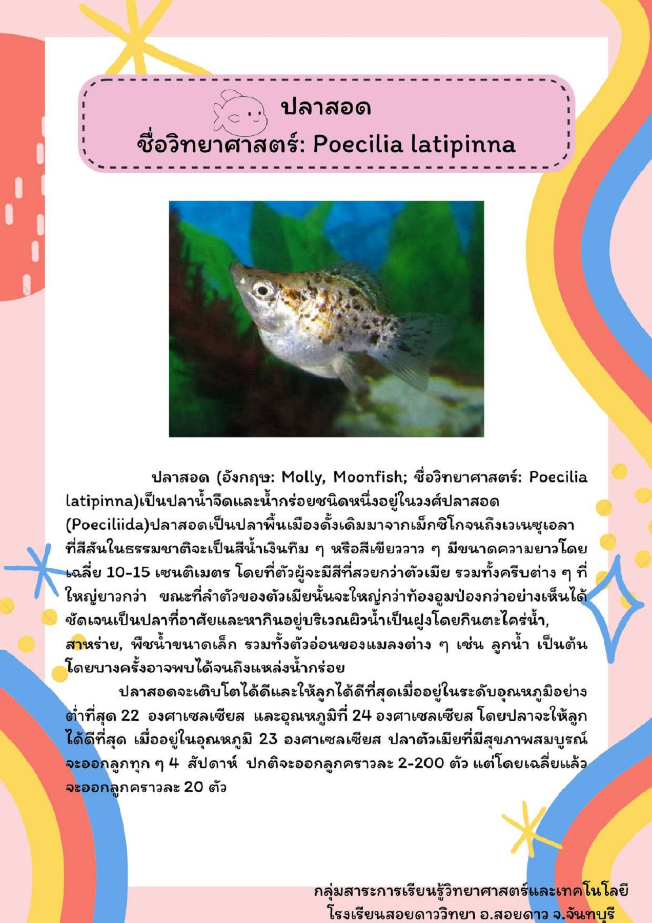 ปลาสวยงาม - Parichat Pranomyong - Page 15 | Flip PDF Online | PubHTML5