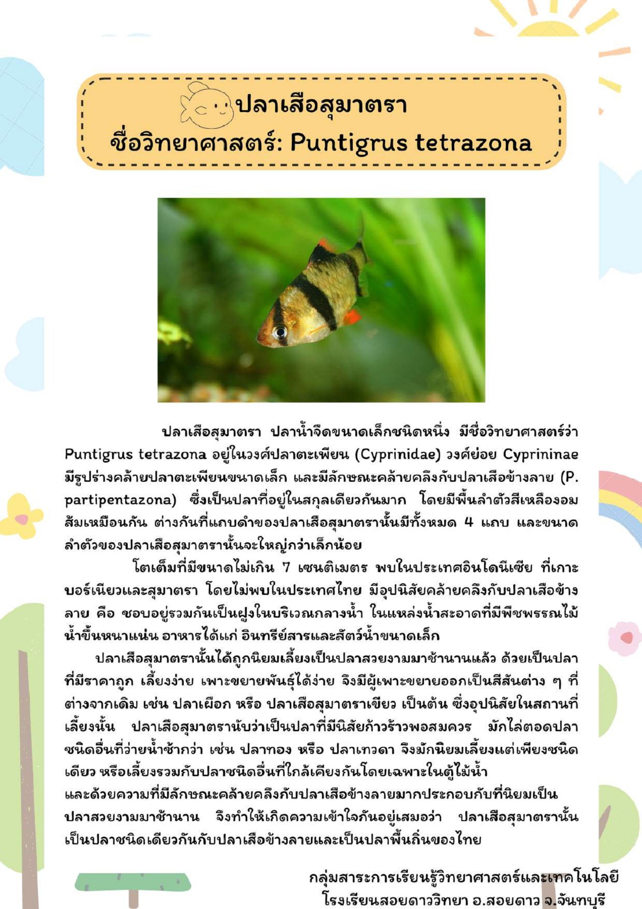 ปลาสวยงาม - Parichat Pranomyong - Page 16 | Flip PDF Online | PubHTML5