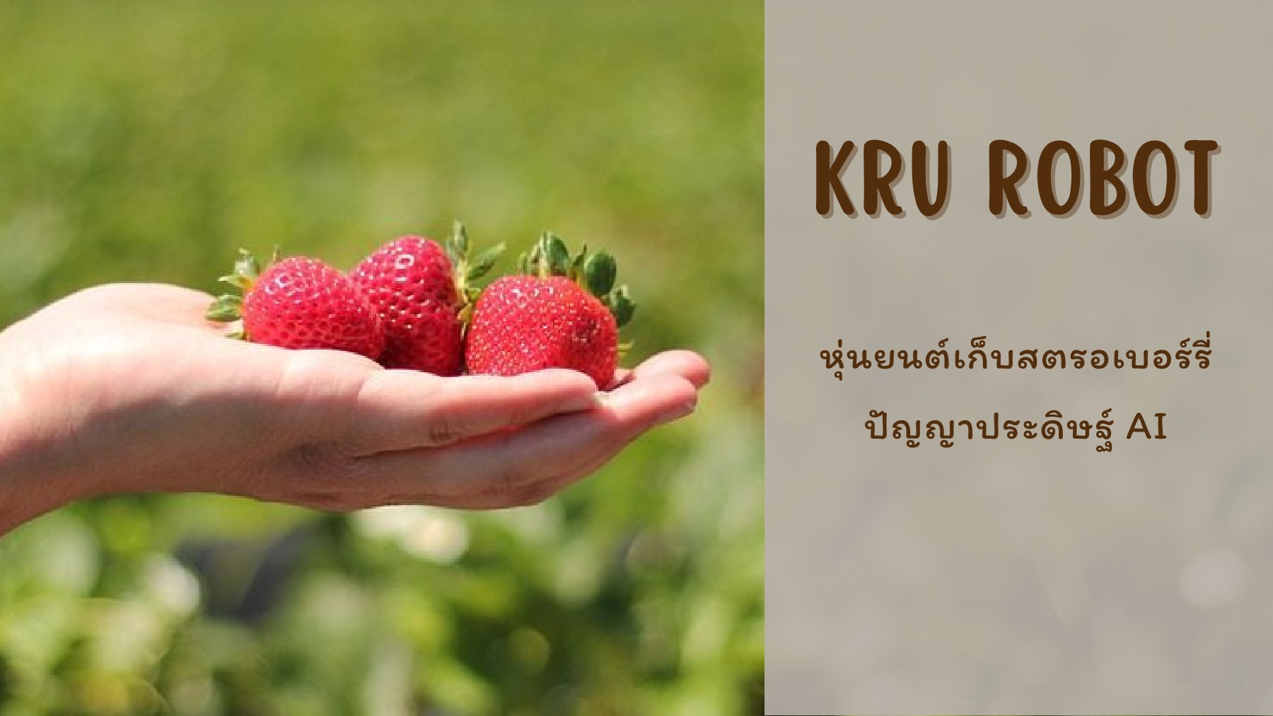 KRU - PaPern - หน้าหนังสือ 1 - 6 | พลิก PDF ออนไลน์ | PubHTML5