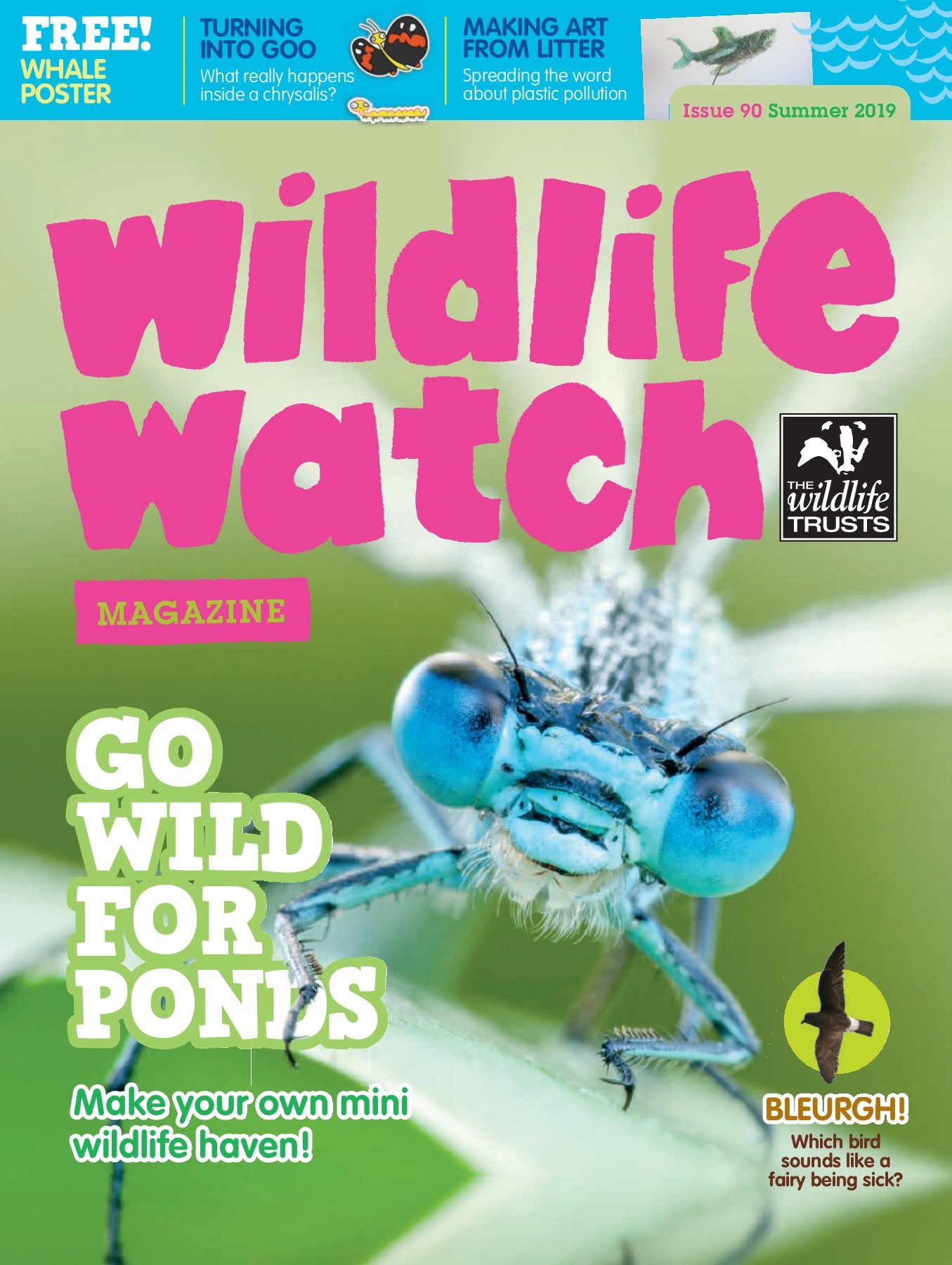 WildlifeWatch Issue 90 Summer 2019 - Warwickshire Wildlife Trust - Page ...