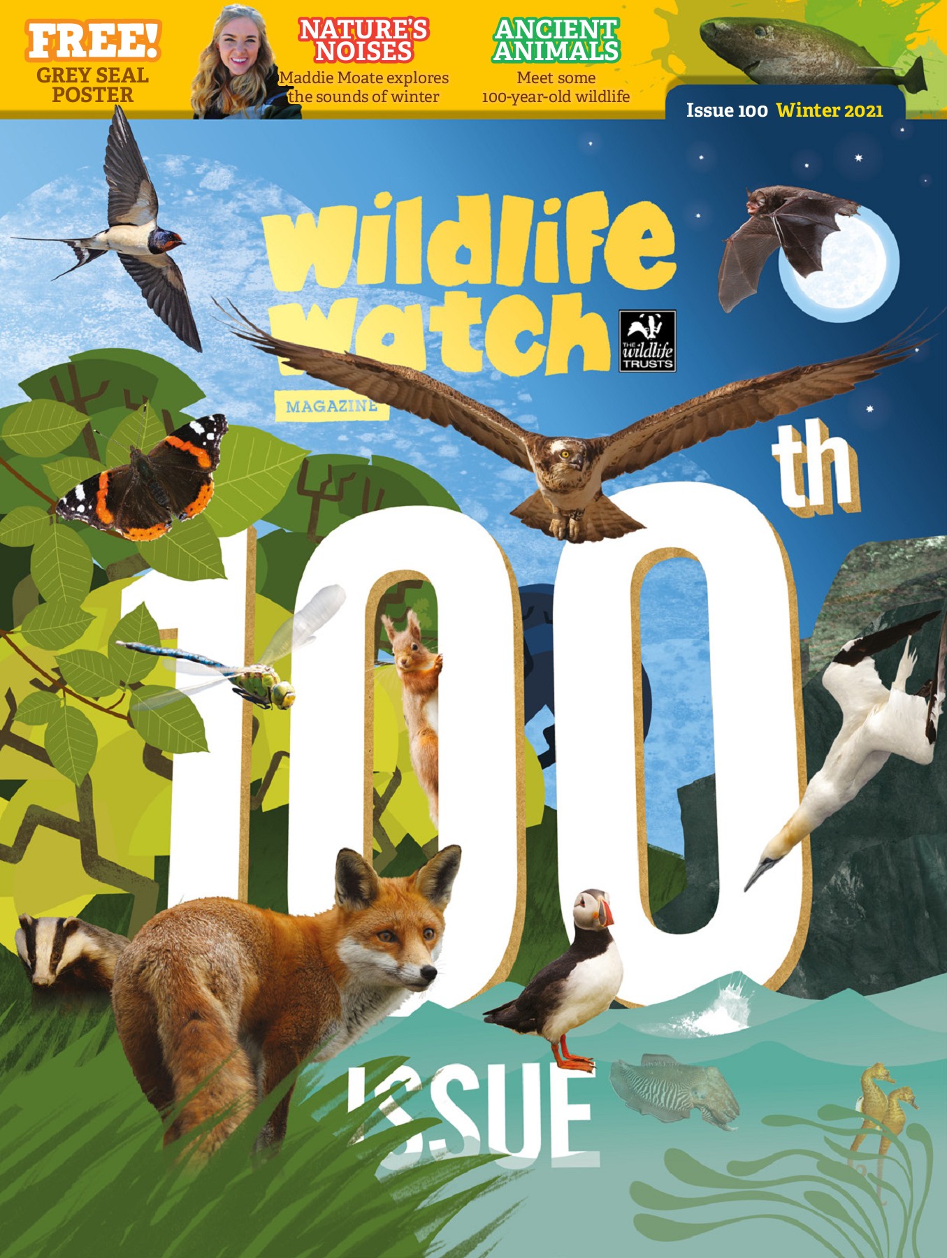 Wildlife Watch Issue 100 - Winter 2021 - Warwickshire Wildlife Trust ...